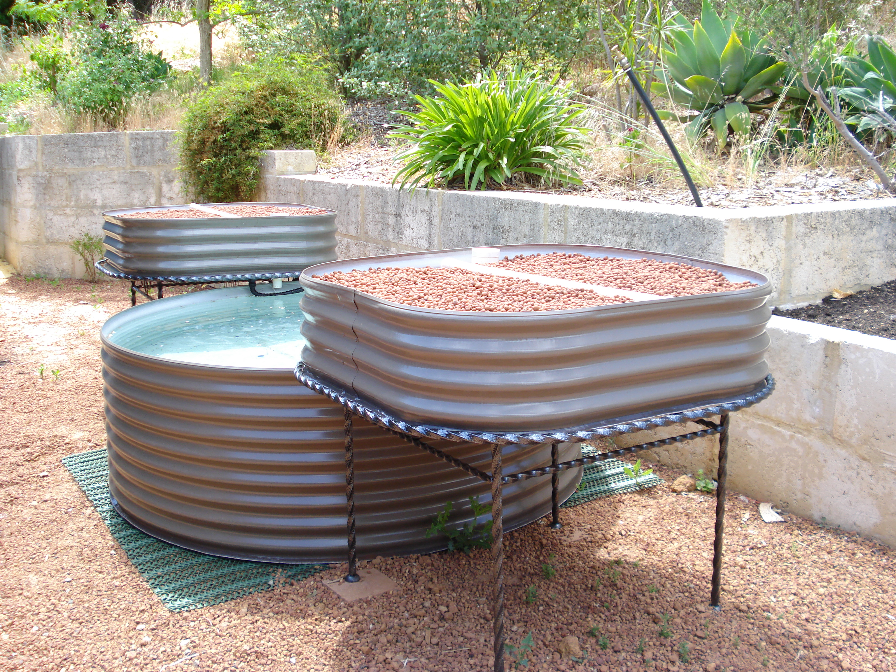 Beautiful Aquaponics Systems - Suburban Farmer | Suburban Farmer